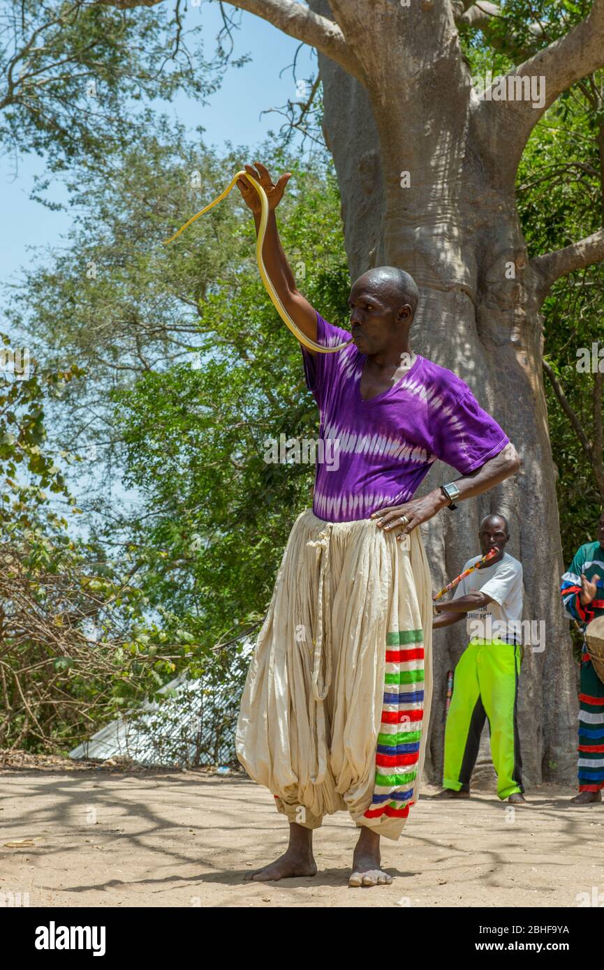 Cultural musical performance with snake at Makasutu Cutlure Forest in ...