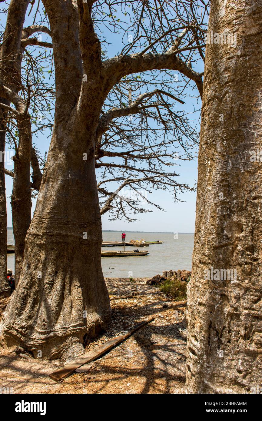Gambia river james island hi-res stock photography and images - Alamy