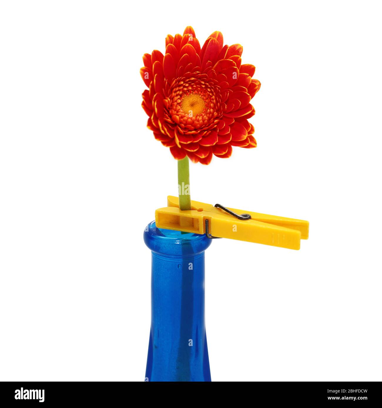 Plastic flower decoration hi-res stock photography and images - Alamy