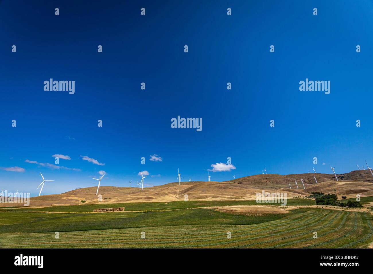 Windmills in a field along the Columbia River Gorge on the border ...
