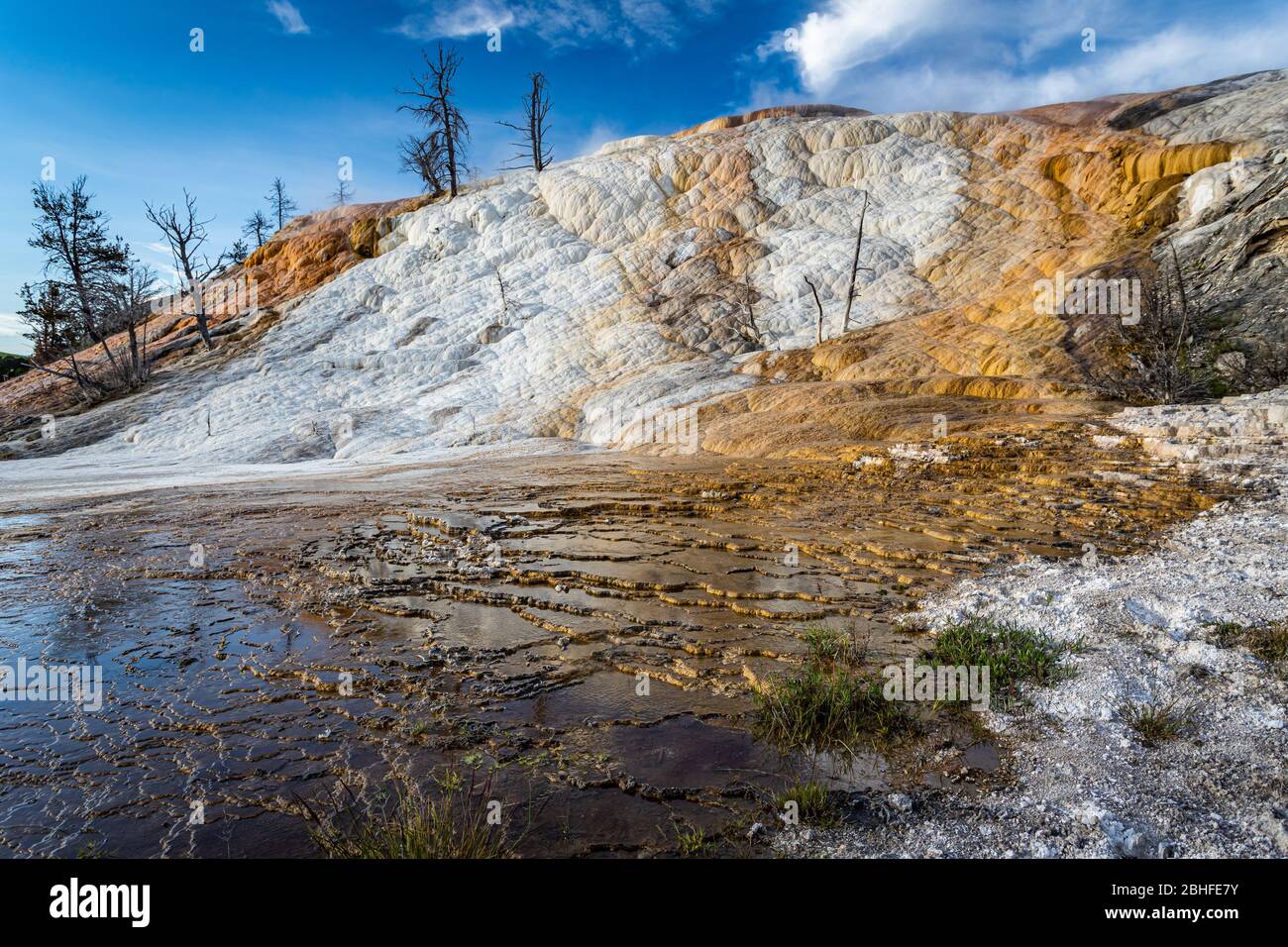 Mammoth Hot Spring at Yellowstone National Park in Wyoming Stock Photo ...