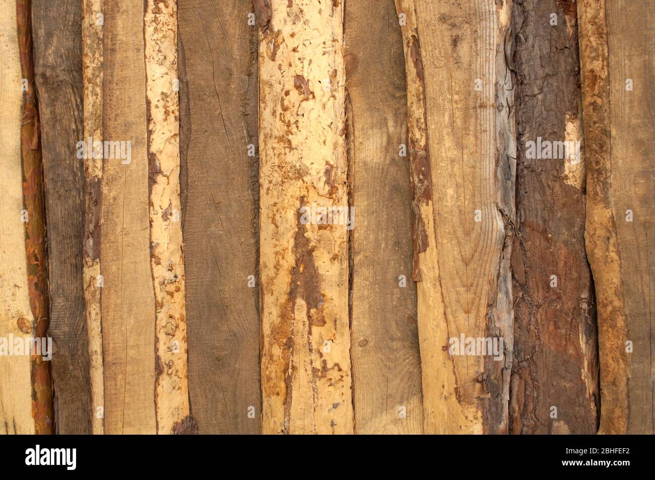 Detailed wooden texture. Boards of powdered snow. Upright background ...