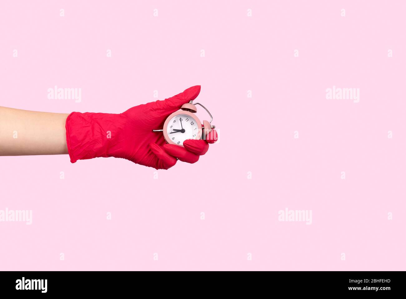 Female hand in a rubber glove holding alarm clock on pink background ...