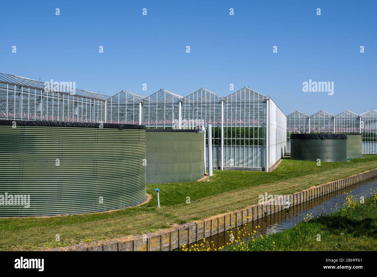 Perspective view of a modern high tech industrial greenhouse with water ...
