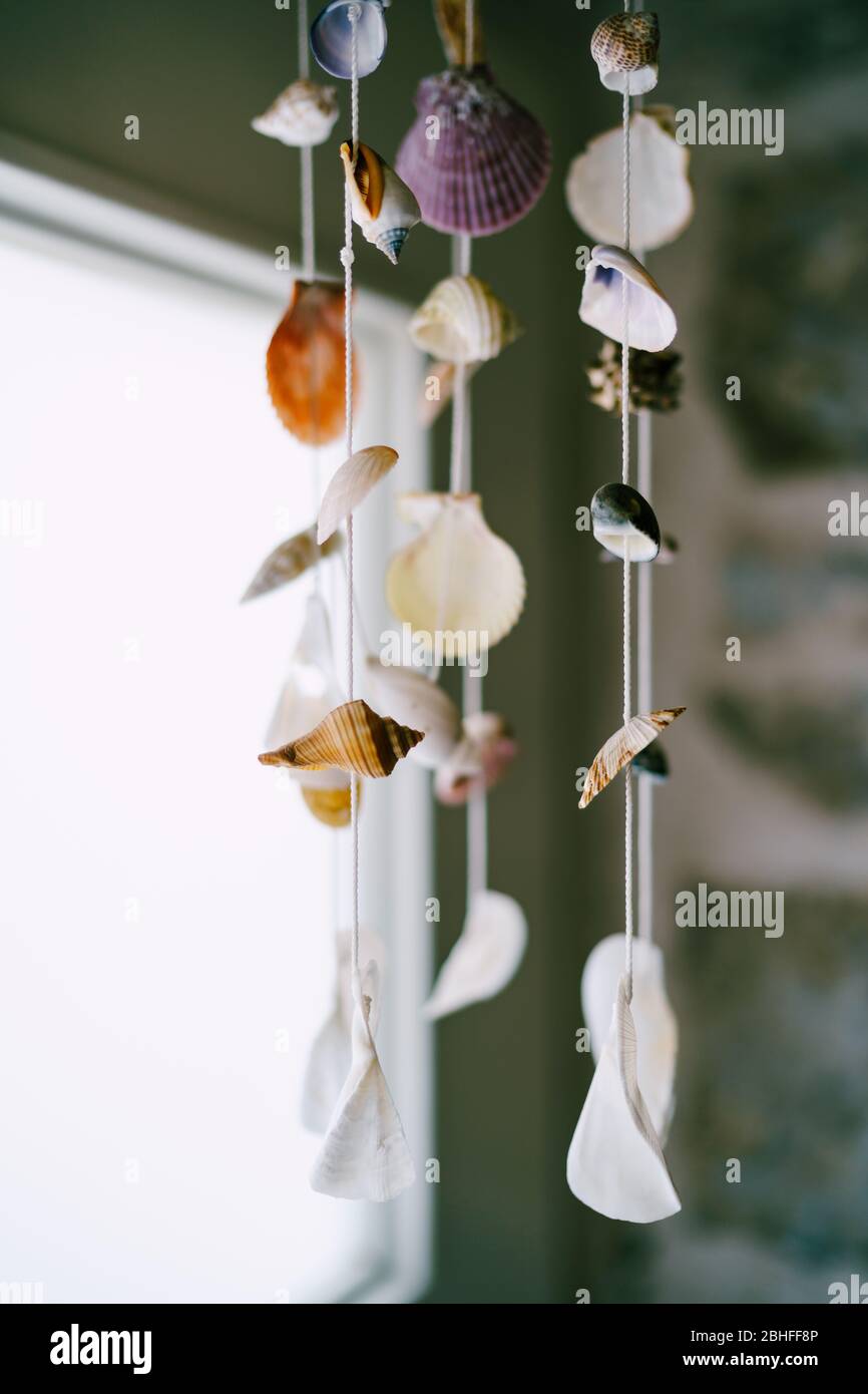 Music wind shells. Decoration in the interior of the apartment in the ...