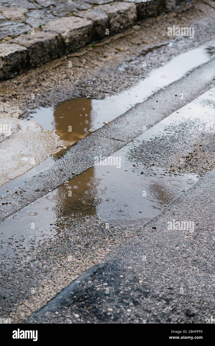 Raindrops in a puddle on the pavement. Circles on the water from a drop ...