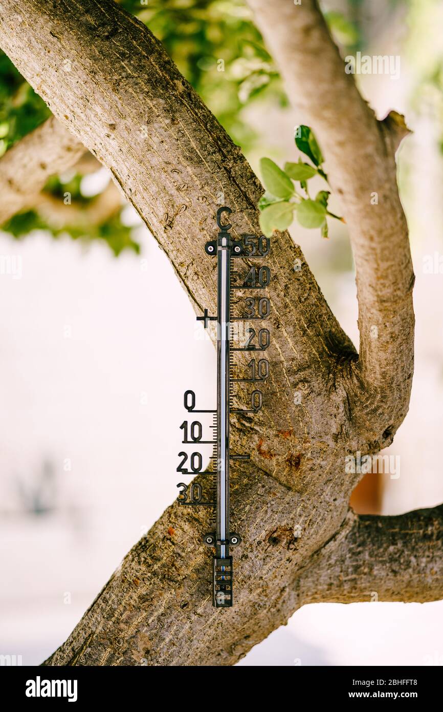 A thermometer on a tree. Black plastic thermometer. Thermometer outside ...