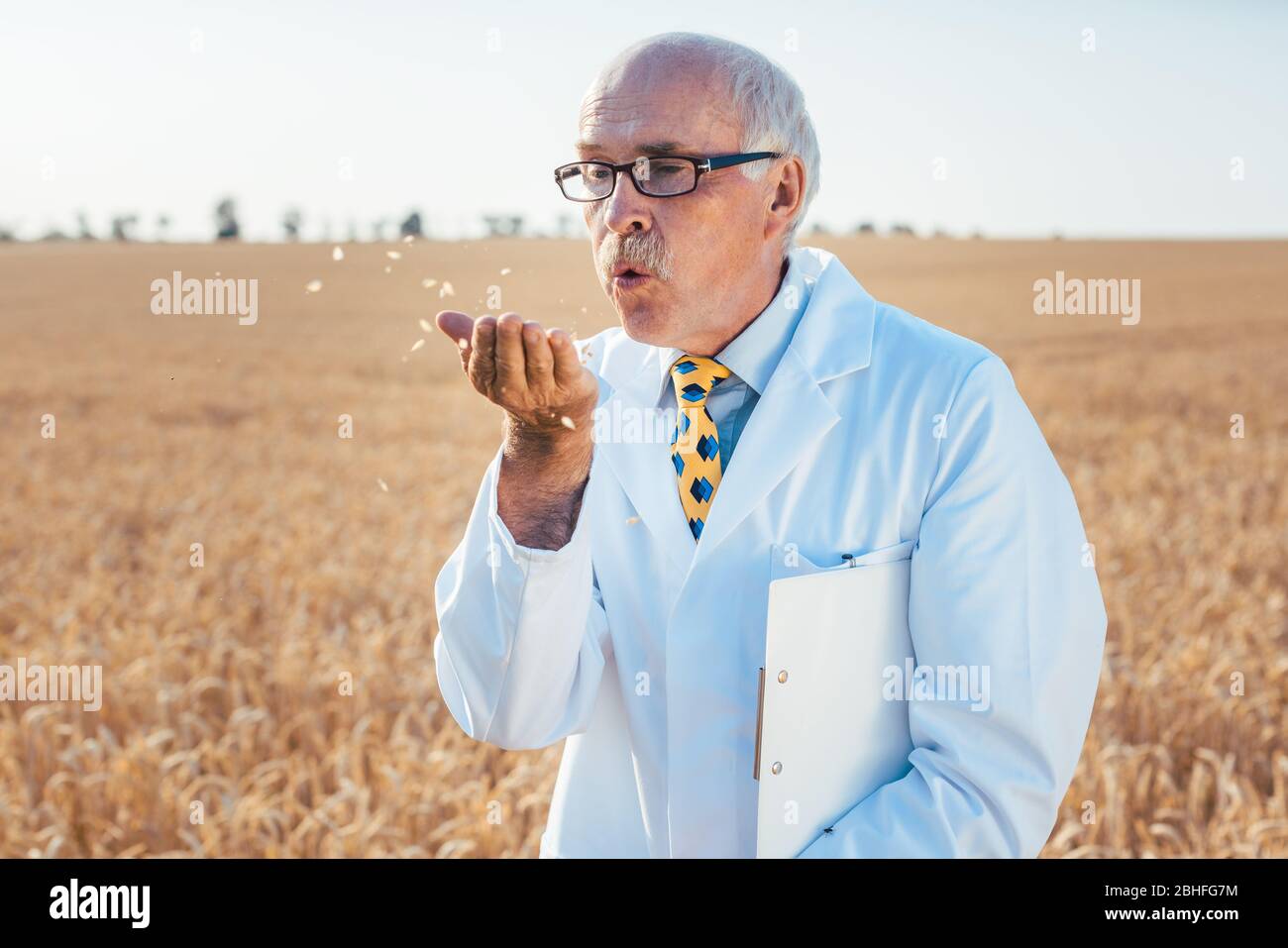 Grain testing hi-res stock photography and images - Alamy
