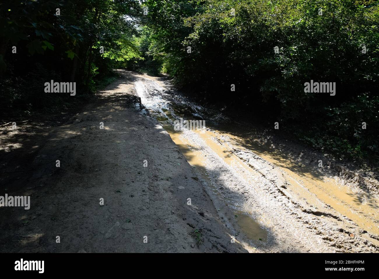 Puddles of rain on a meadow hi-res stock photography and images - Alamy