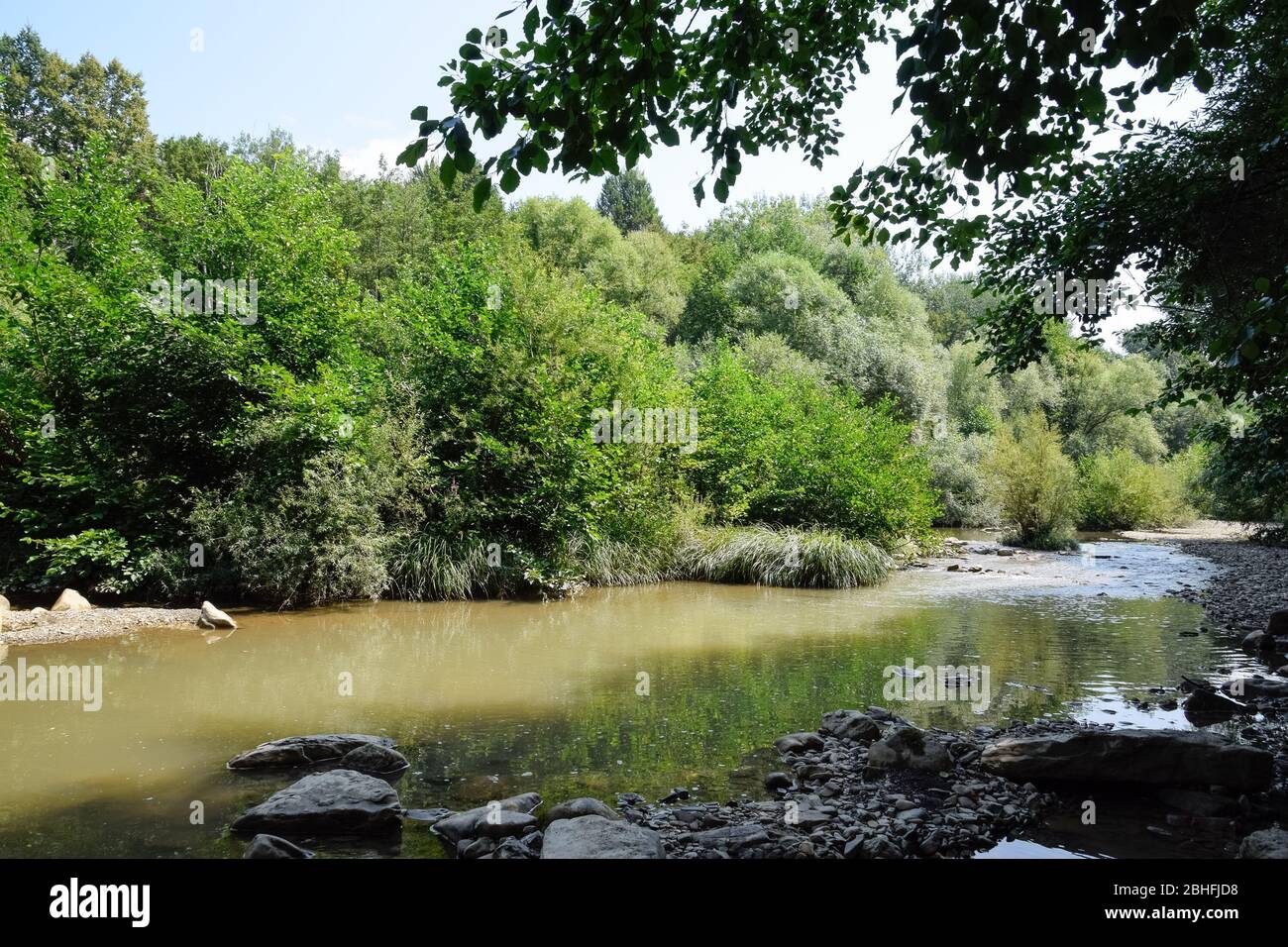 A shallow mountain river, the bottom of a mountain river of stones and ...