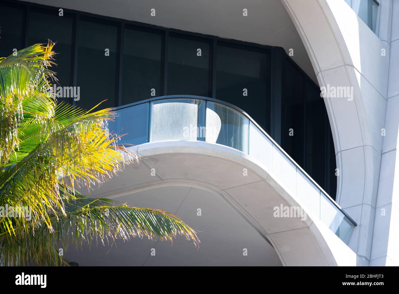 Modern architecture and palm trees Miami city scene Stock Photo - Alamy
