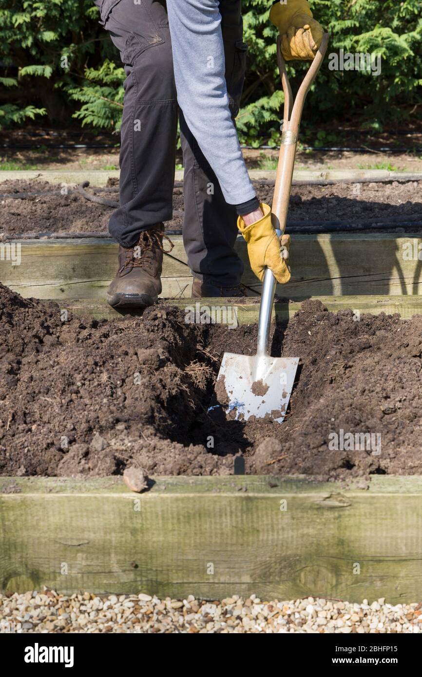 Garden raised bed sleepers hi-res stock photography and images - Alamy