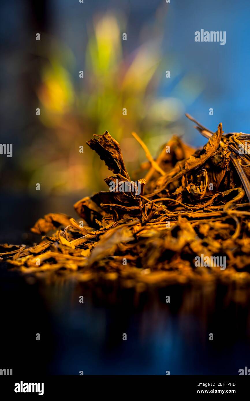 Ardusi hi-res stock photography and images - Alamy