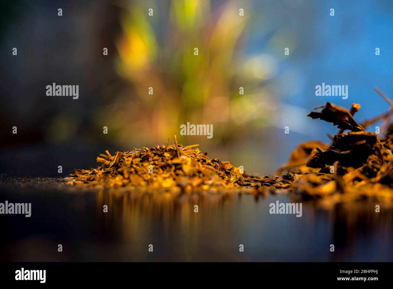 Guyana healthcare hi-res stock photography and images - Alamy