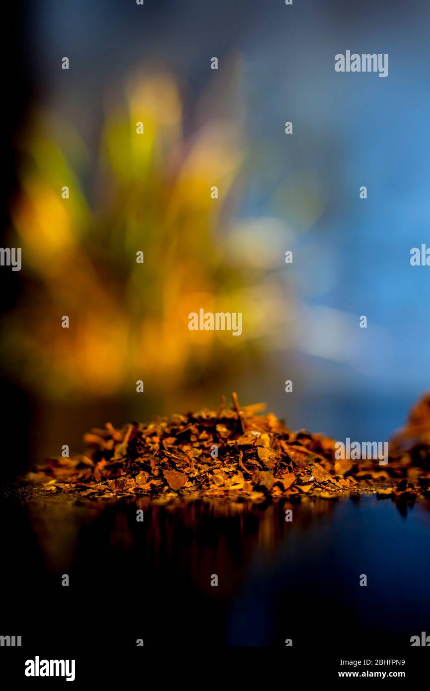 Malabar nut hi-res stock photography and images - Alamy