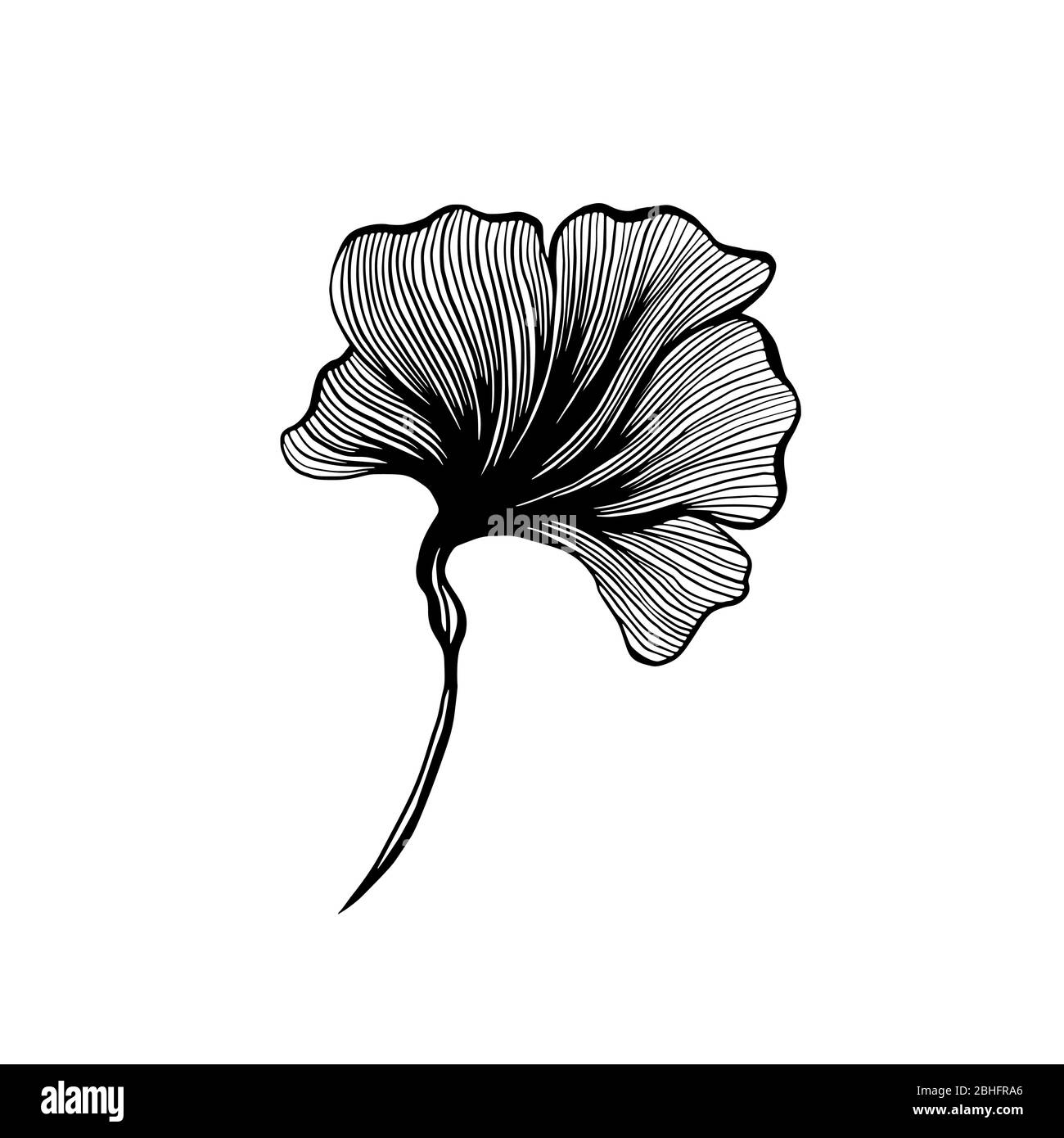 Ginkgo leaf ink line art design, vector isolated design element with ...