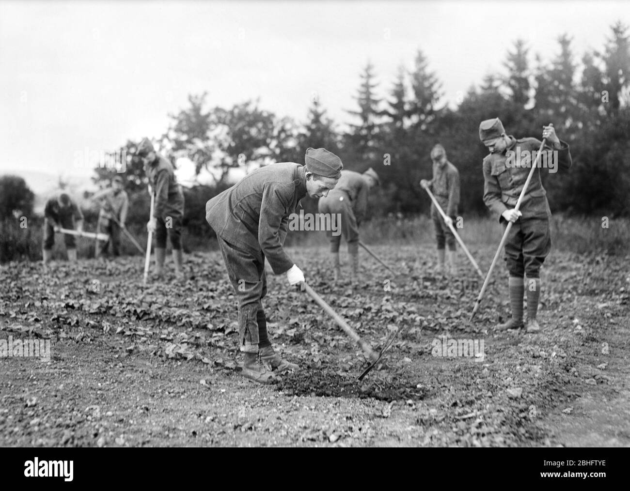 World war soldiers vegetables hi-res stock photography and images - Alamy