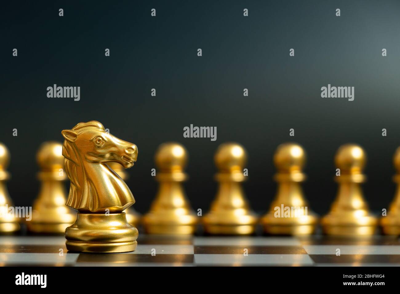 Gold knight chess piece stand in front of pawn on black background ...