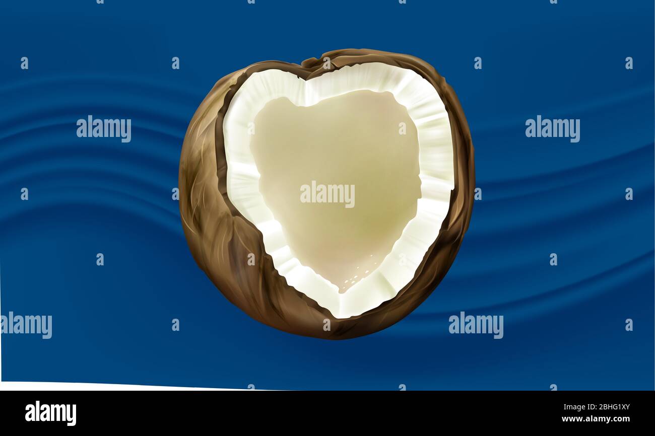 mock up illustration of coconut on abstract background Stock Vector ...