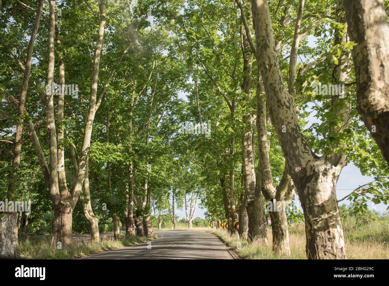 Driving on long narrow road hi-res stock photography and images - Alamy