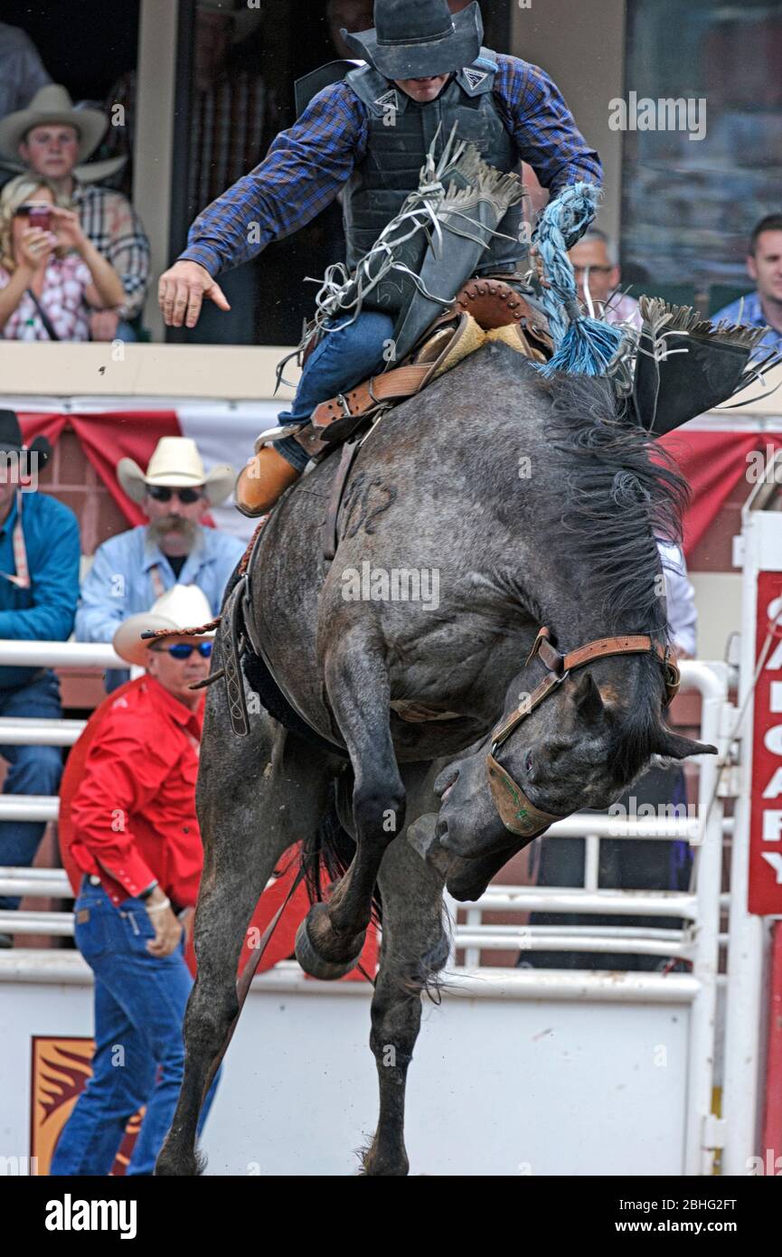 Professional bronc rider hi-res stock photography and images - Alamy