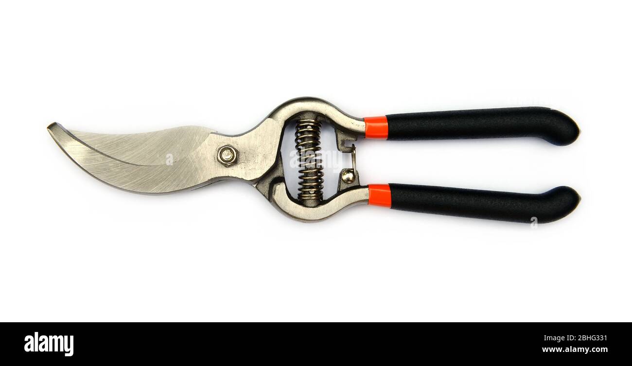 Black garden secateurs isolated on a white background Stock Photo - Alamy