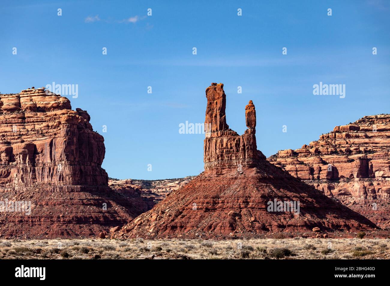 Sea rooster hi-res stock photography and images - Alamy
