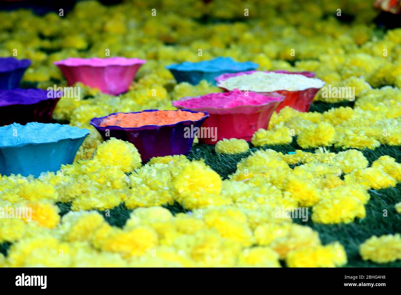 Festival decoration, holi color, organic gulal, color in bowl with ...