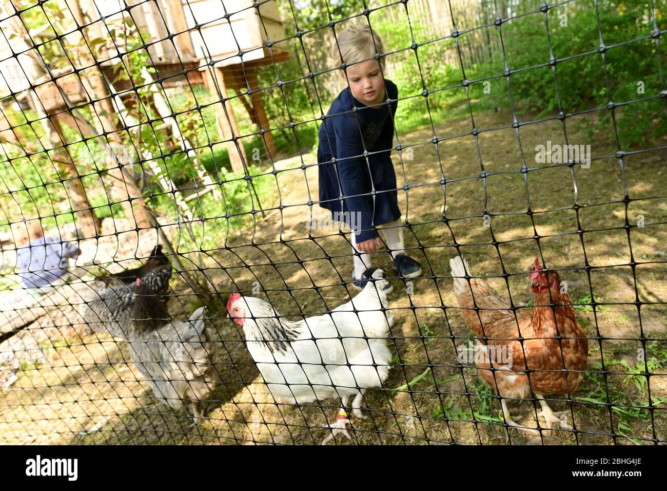 Kassel, Germany. 17th Apr, 2020. Amelie stands behind the fence next to ...