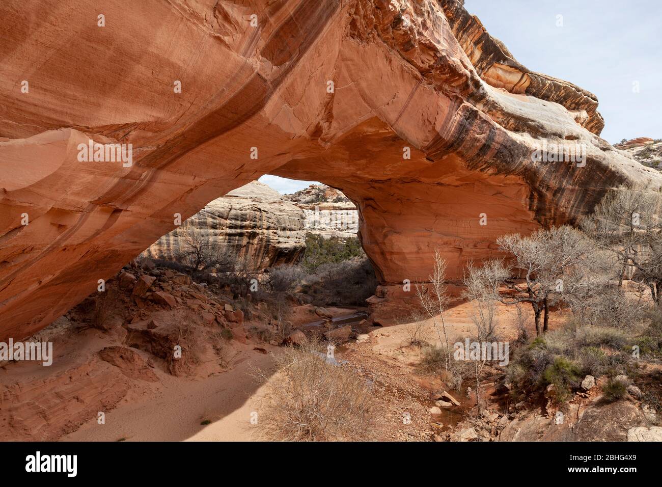 UT00560-00...UTAH - Kachina Bridge in Natural Bridges National Monument ...
