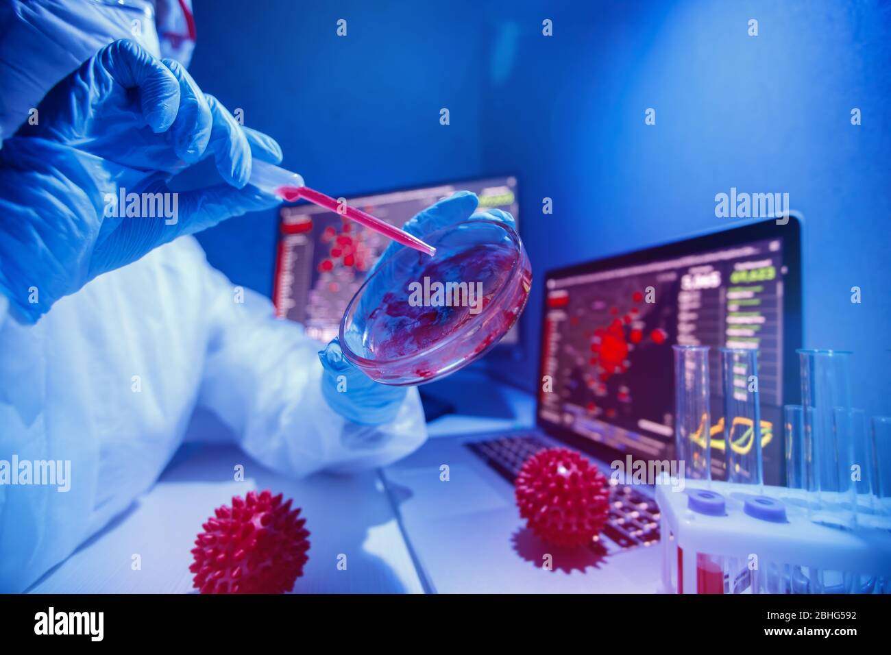 Microbiology hand medical working on agar plate culture bacteria and ...