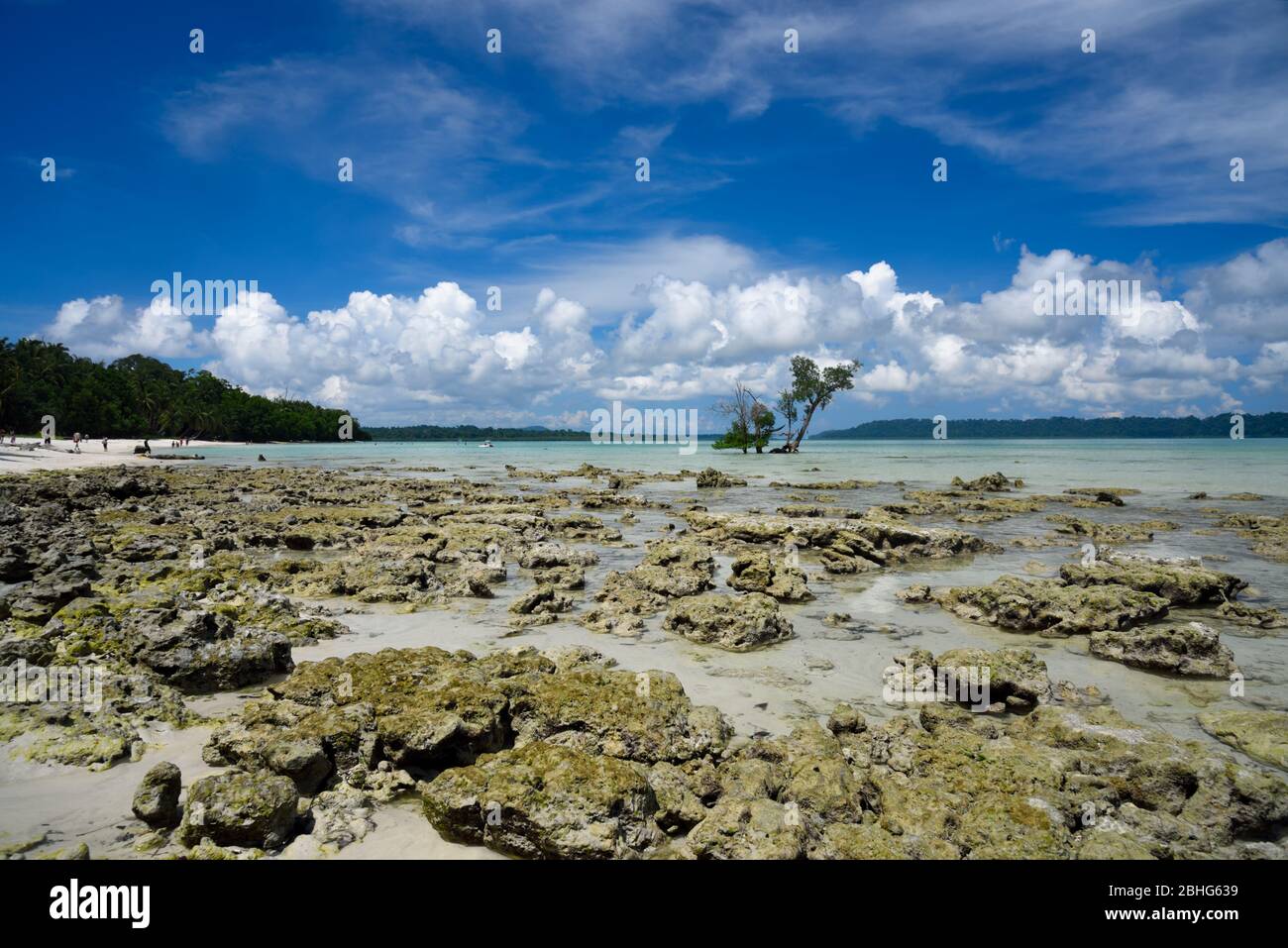 Coral Beach Andaman Island Stock Photo - Alamy