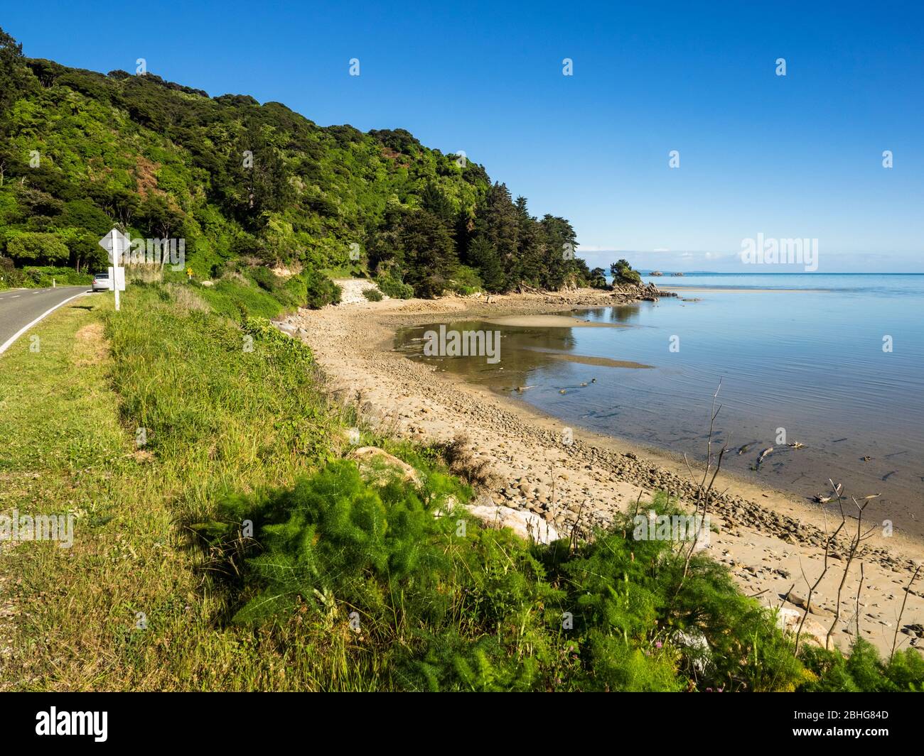 Abel Tasman Drive, Wainui Bay near Abel Tasman National Park, South ...