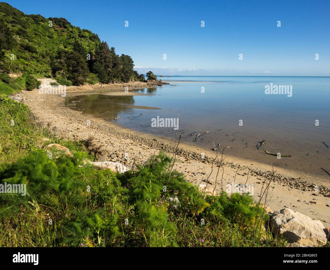 Wainui Bay is a small inlet of Golden Bay, near Abel Tasman National ...
