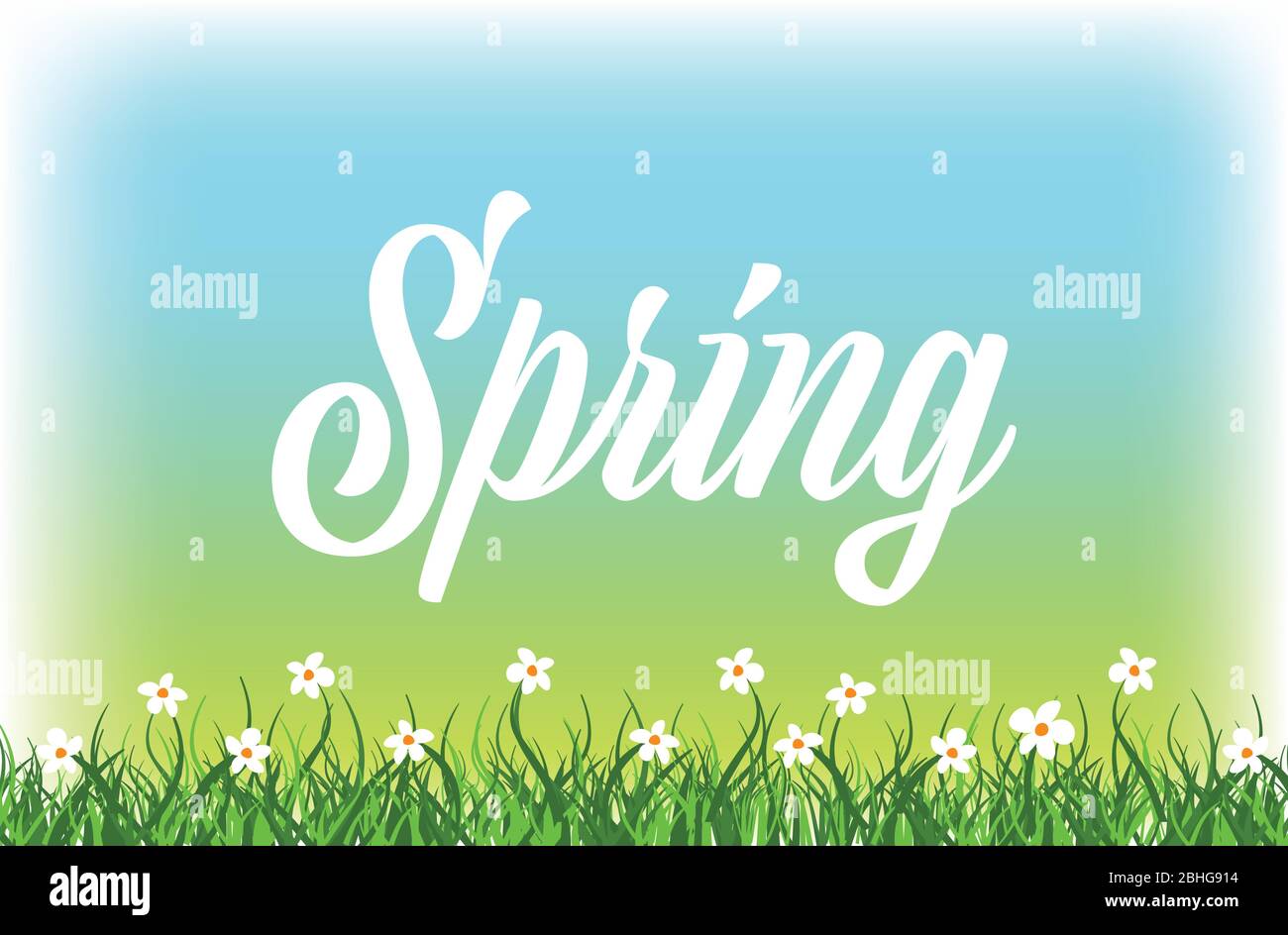 nature spring landscape background with green grass and flowers ...