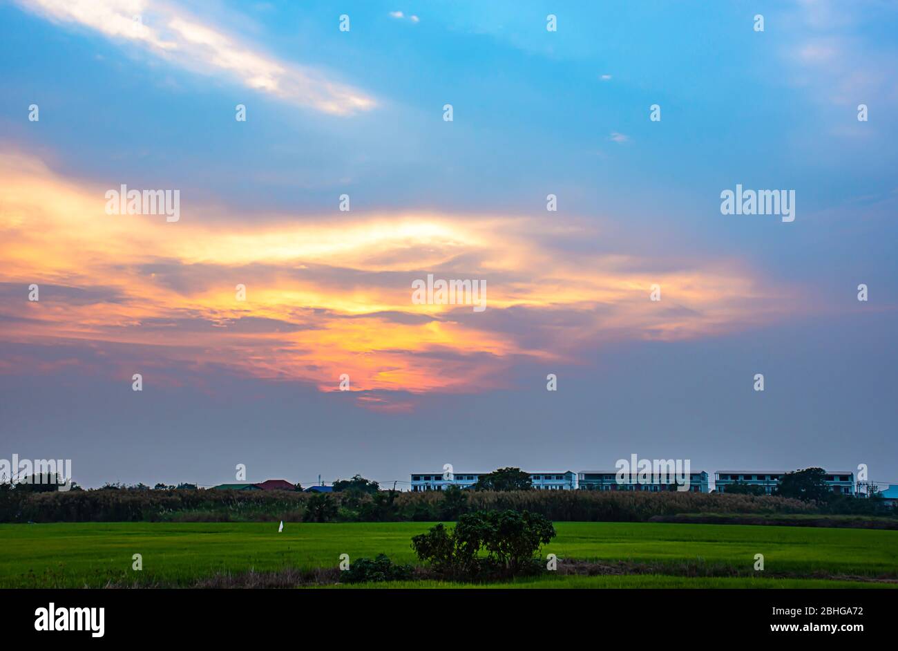 Sunshine sunshine panorama paddy field hi-res stock photography and ...