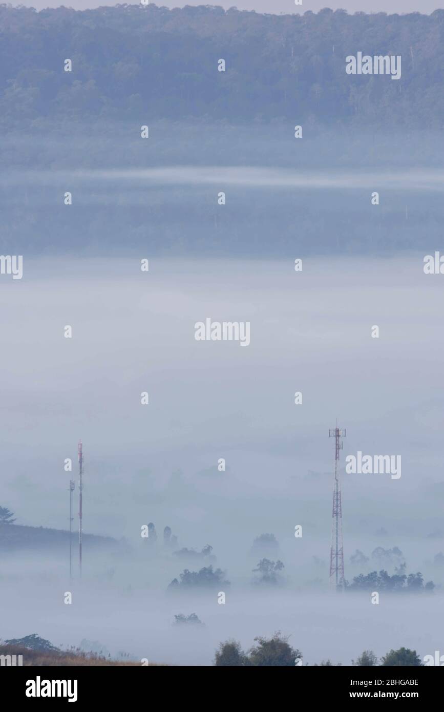 Telephone poles and trees in the morning mist Stock Photo - Alamy