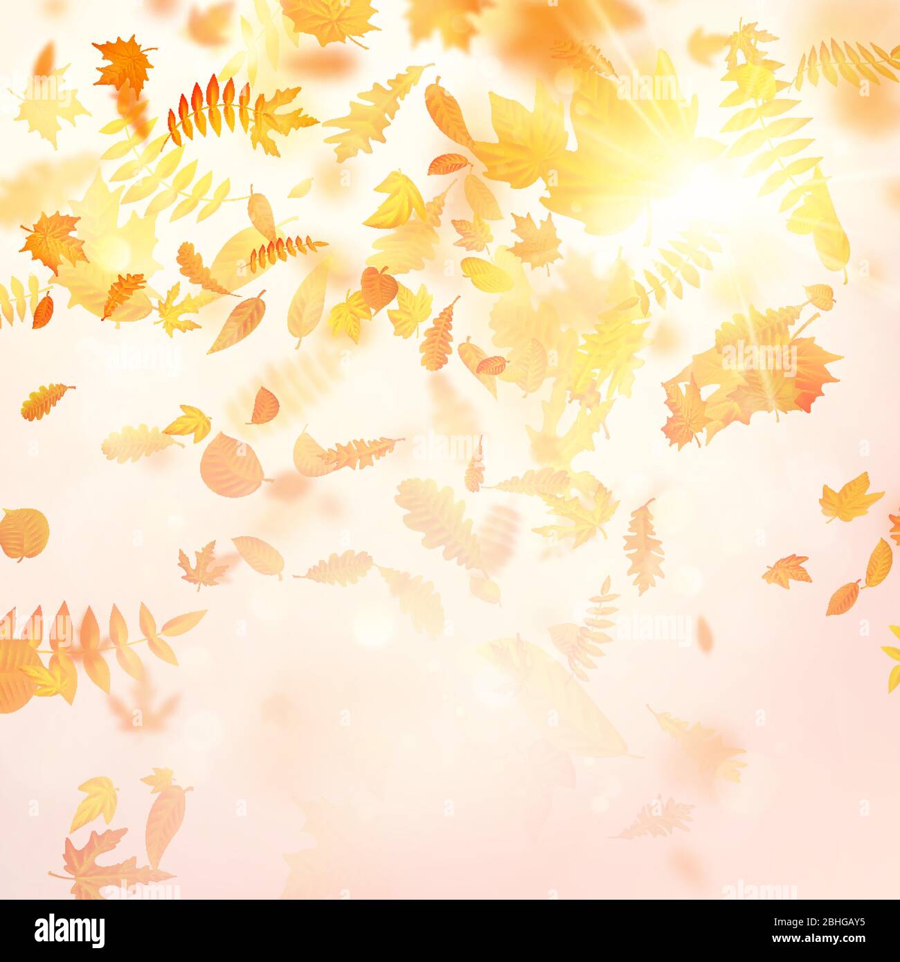 Fall foliage reports Stock Vector Images - Alamy