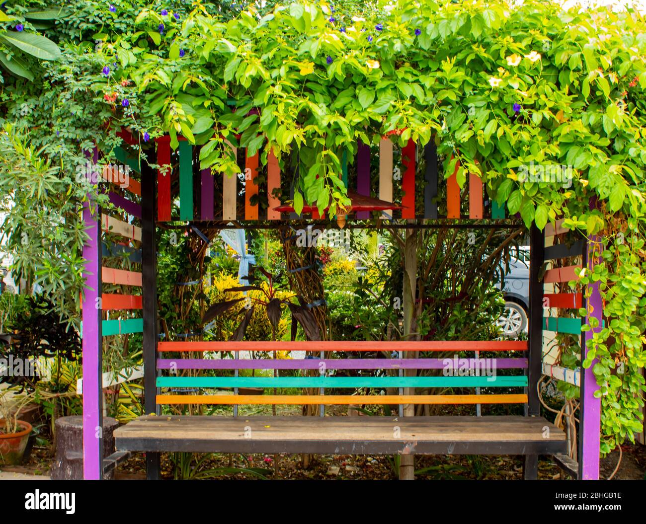 Wooden chair covered with trees Stock Photo - Alamy