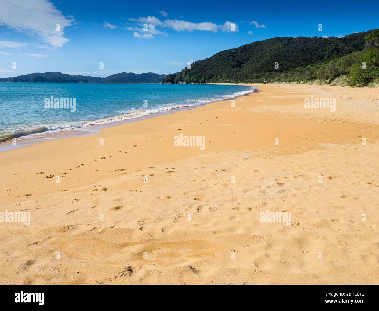 Totaranui Beach, Abel Tasman National Park, South Island, New Zealand ...