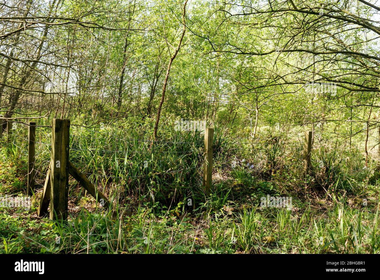 Site of Martholme Colliery Stock Photo - Alamy