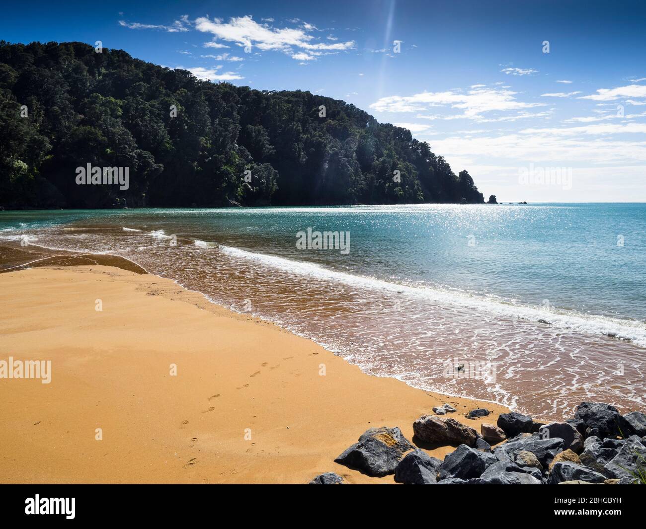 Totaranui Beach, Abel Tasman National Park, South Island, New Zealand ...