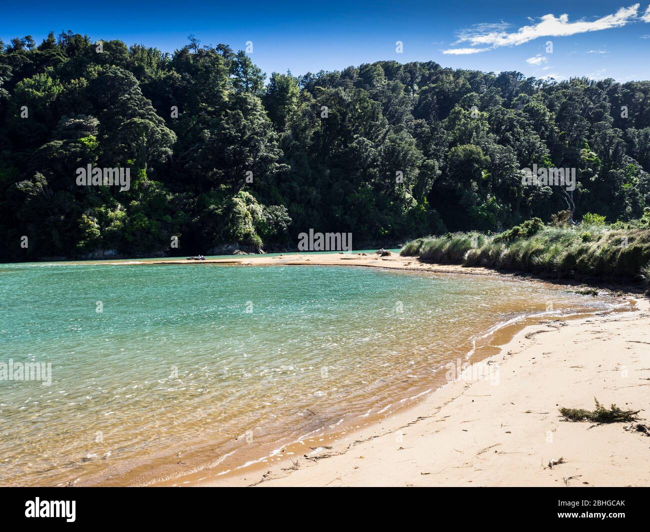 Totaranui new zealand hi-res stock photography and images - Alamy