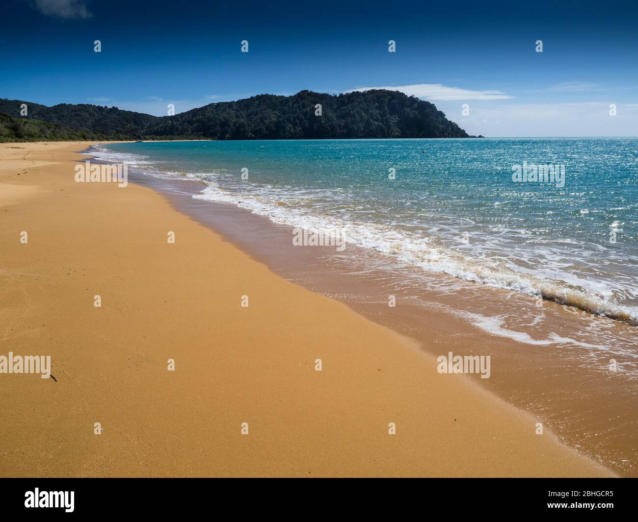 Totaranui Beach, Abel Tasman National Park, South Island, New Zealand ...