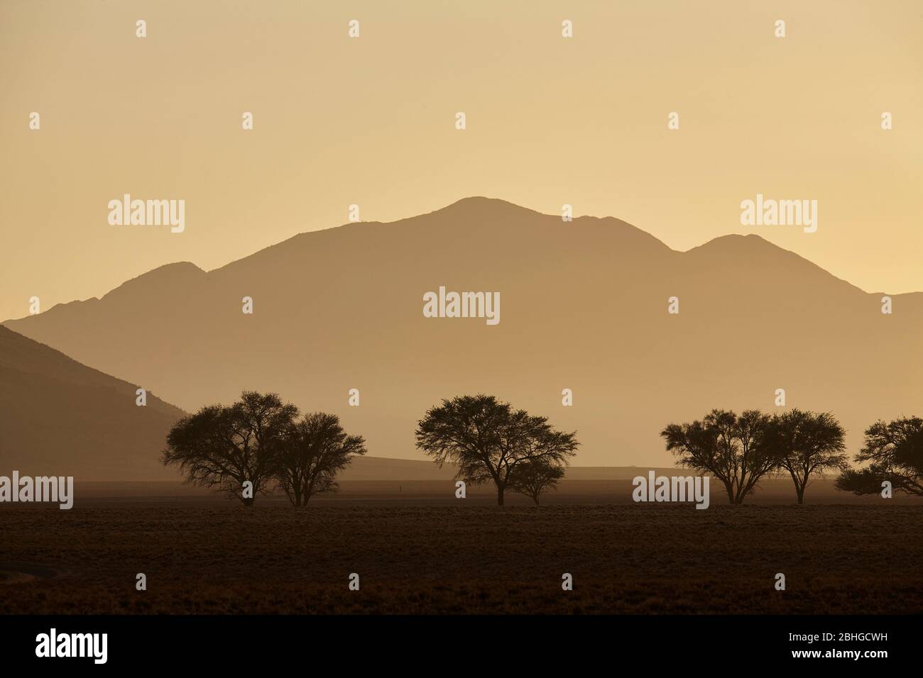 Namib rand nature reserve hi-res stock photography and images - Alamy