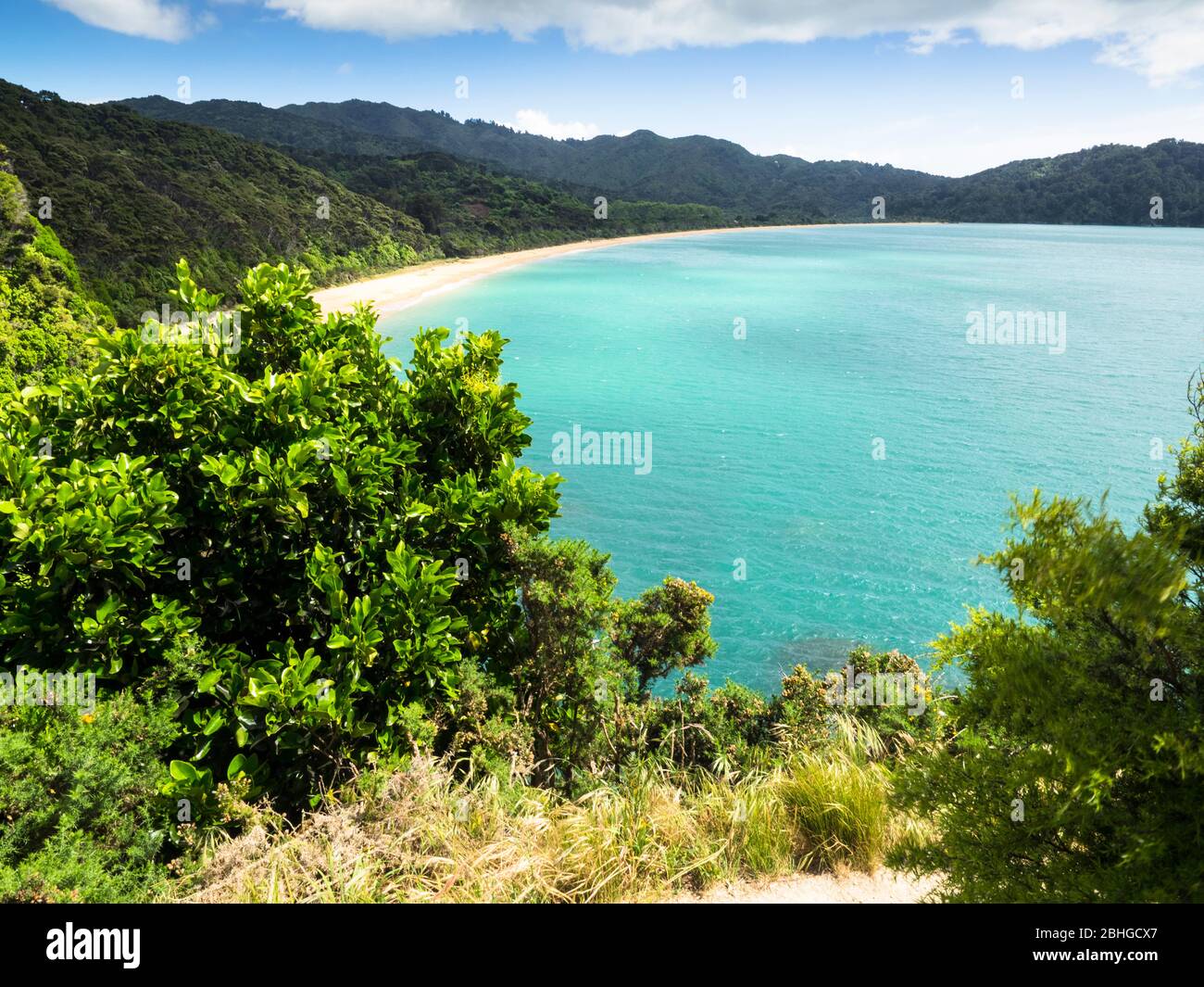 View of Totaranui Bay from Skinner Point, Abel Tasman National Park ...