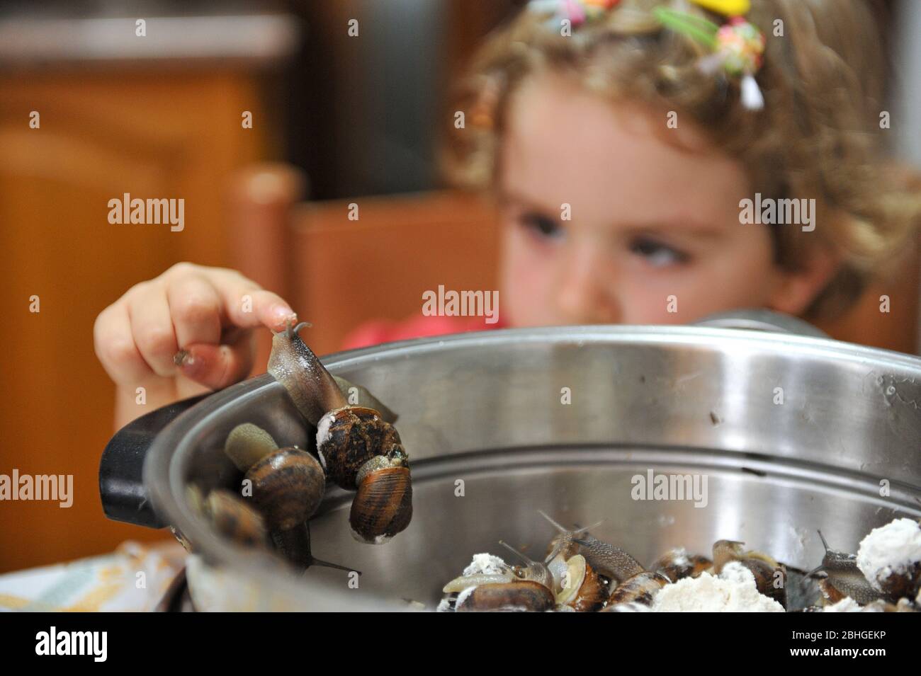child playing with a caracal finger peeking out from a pot full of ...