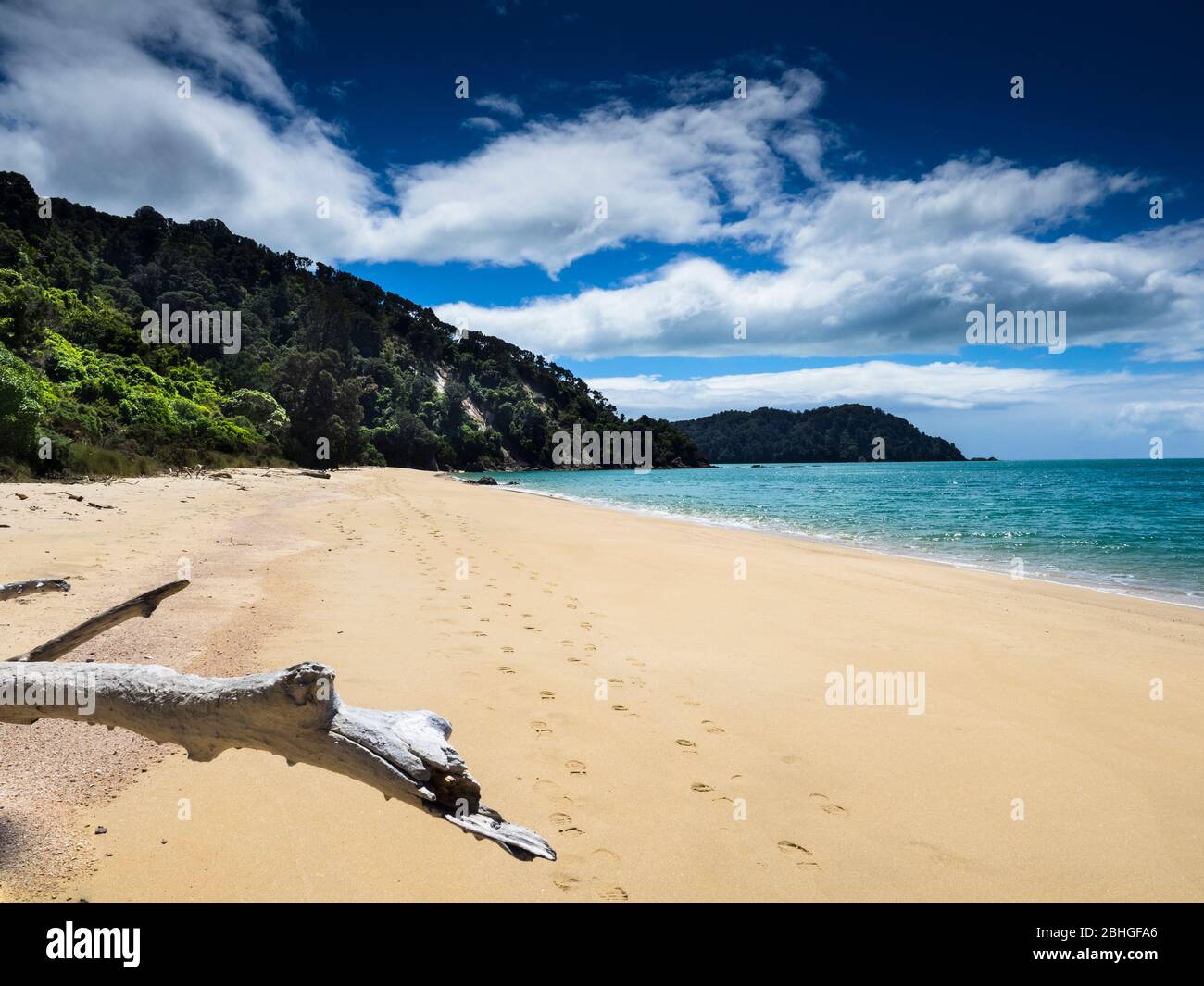 Goat Beach, Abel Tasman National Park, South Island, New Zealand Stock ...