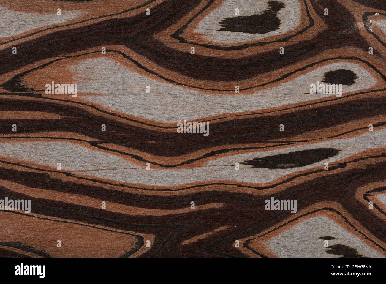 Elegant designer veneer background with stylish surface. High quality ...