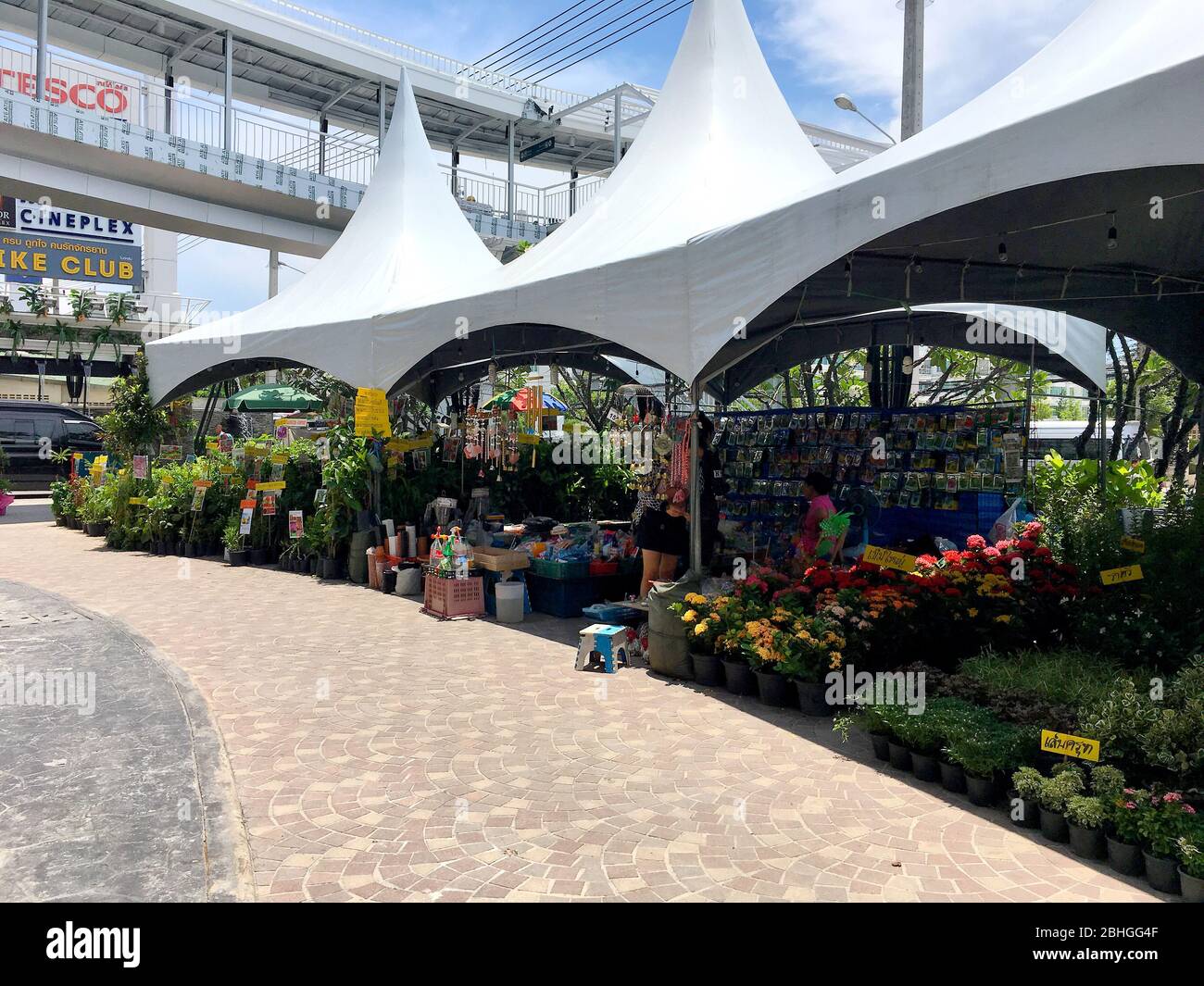 The photo of Tree market in front of the shopping mall in Hua Hin ...
